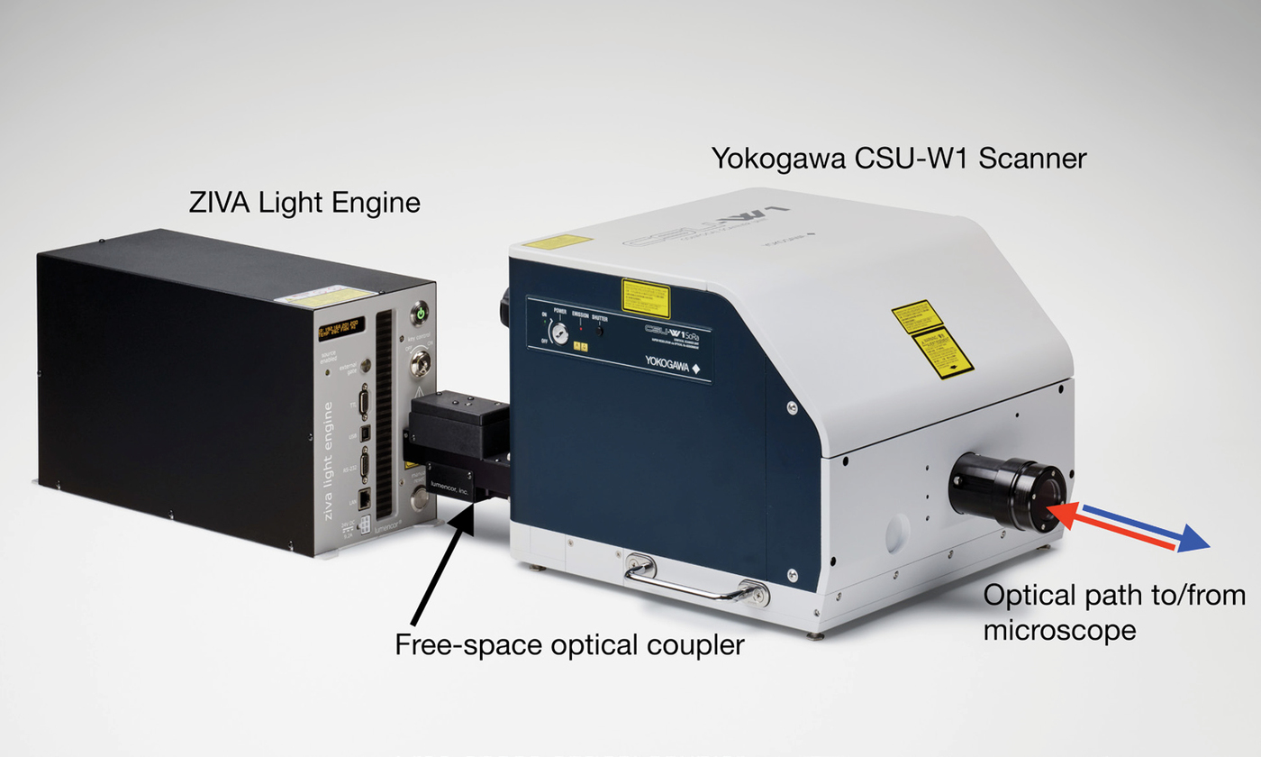 Advances in Laser Illumination for Spinning Disk Confocal Microscopy ...