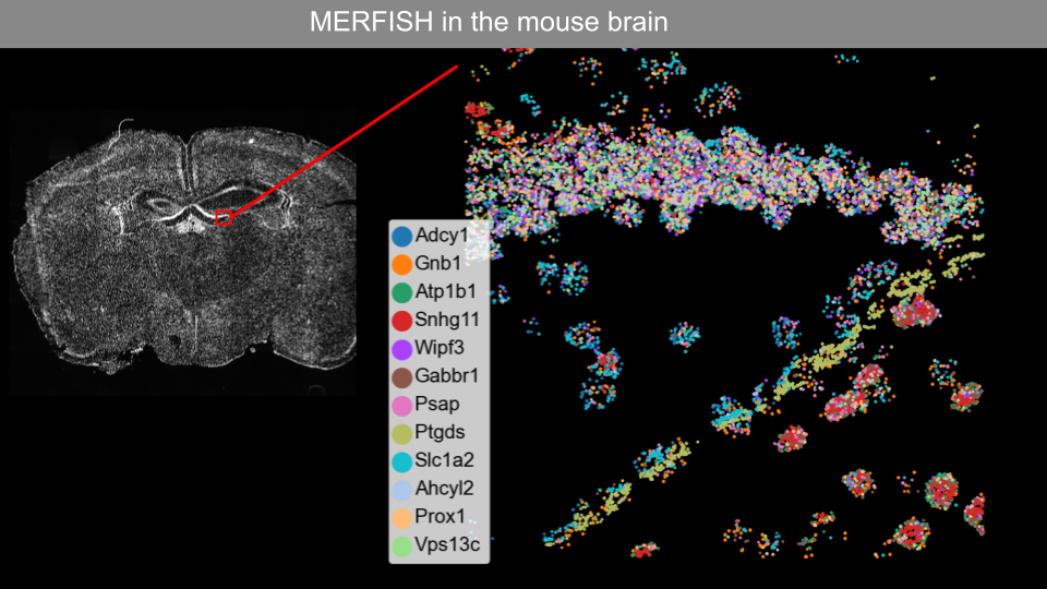 "Ideal laser illumination for MERFISH, STORM, PALM and PAINT"