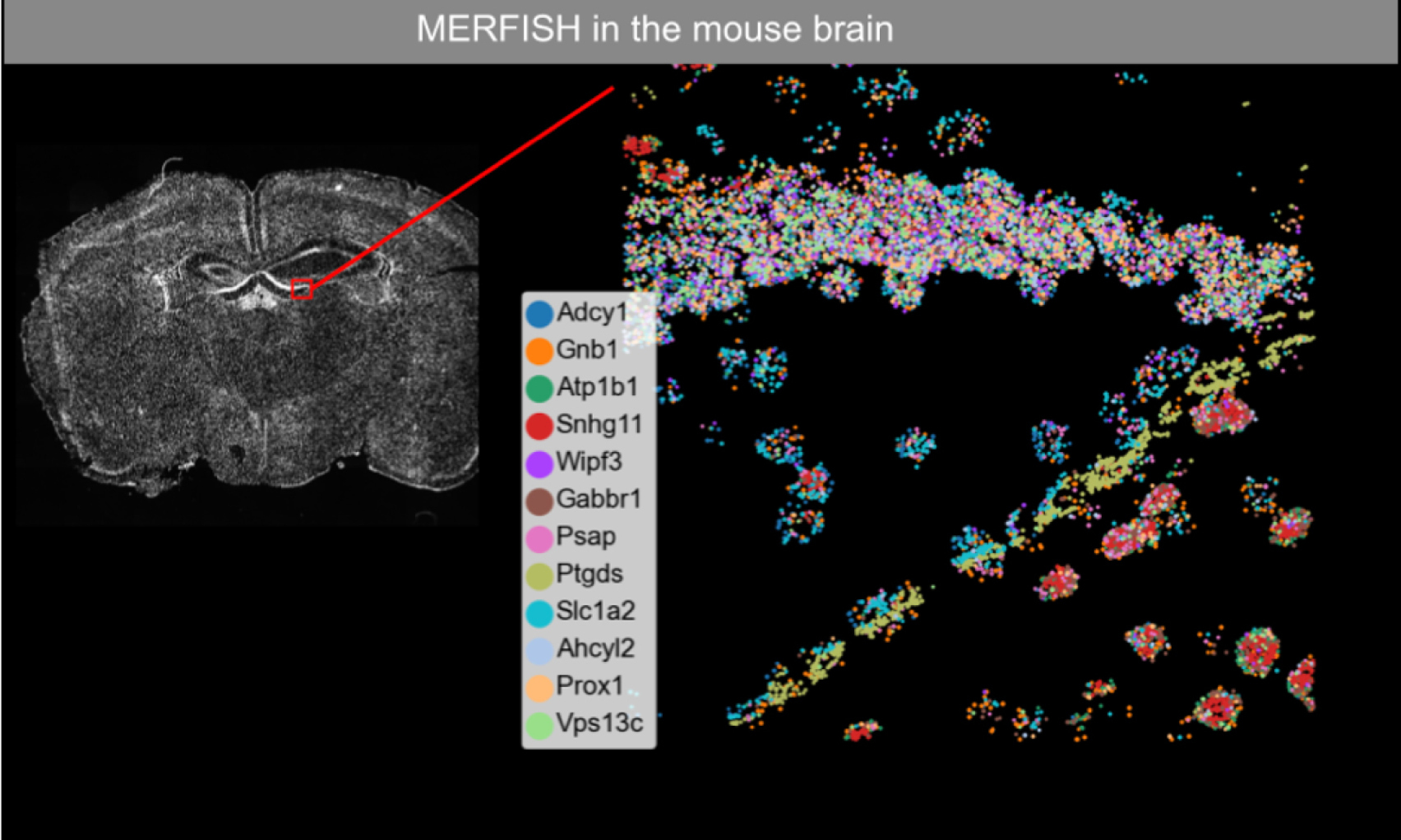 Lumencor Resources | Solid-State Illumination for Microscopy & More