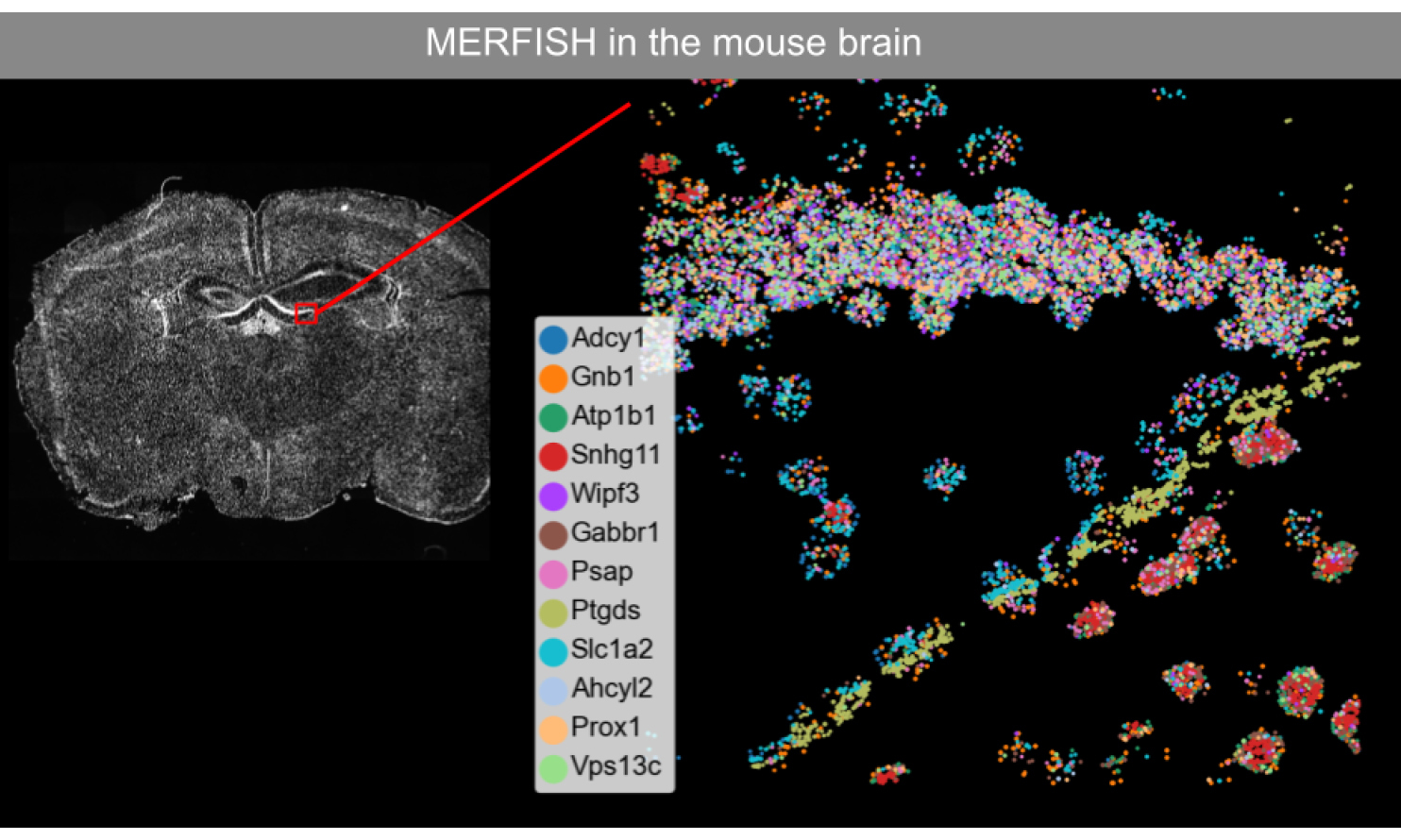 "Ideal laser illumination for MERFISH, STORM, PALM and PAINT"