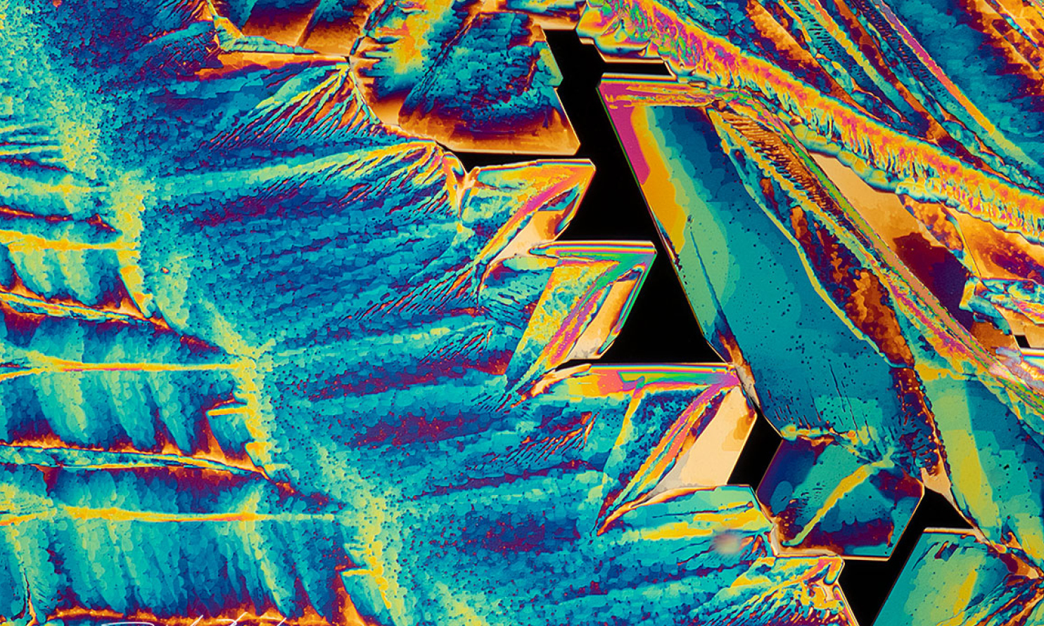 Polarized Light Microscopy | Lumencor
