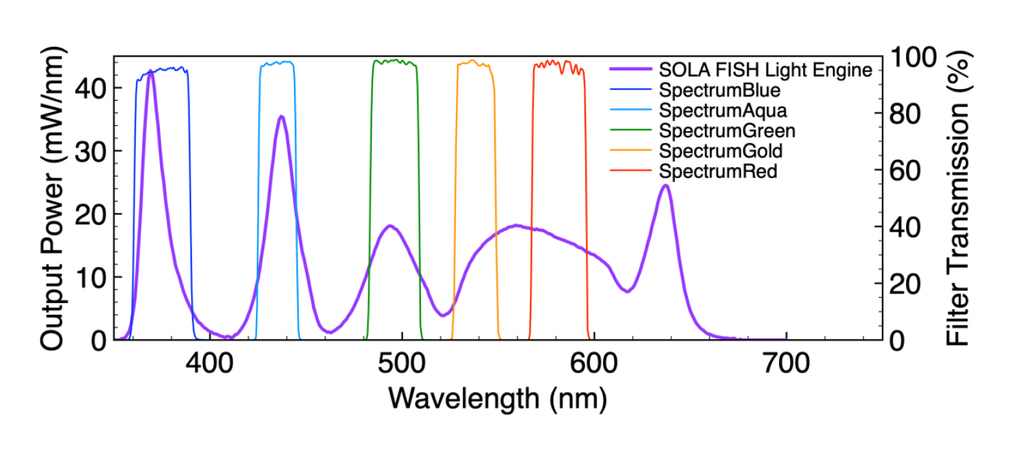 Solid-State SOLAs Light Up FISH (Fluorescence In Situ Hybridization)