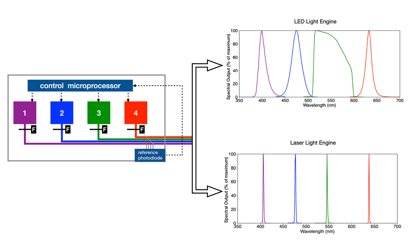 White Paper: Spatial Light Output Characteristics of Solid-State Light ...