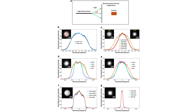 White Paper: Spatial Light Output Characteristics of Solid-State Light ...