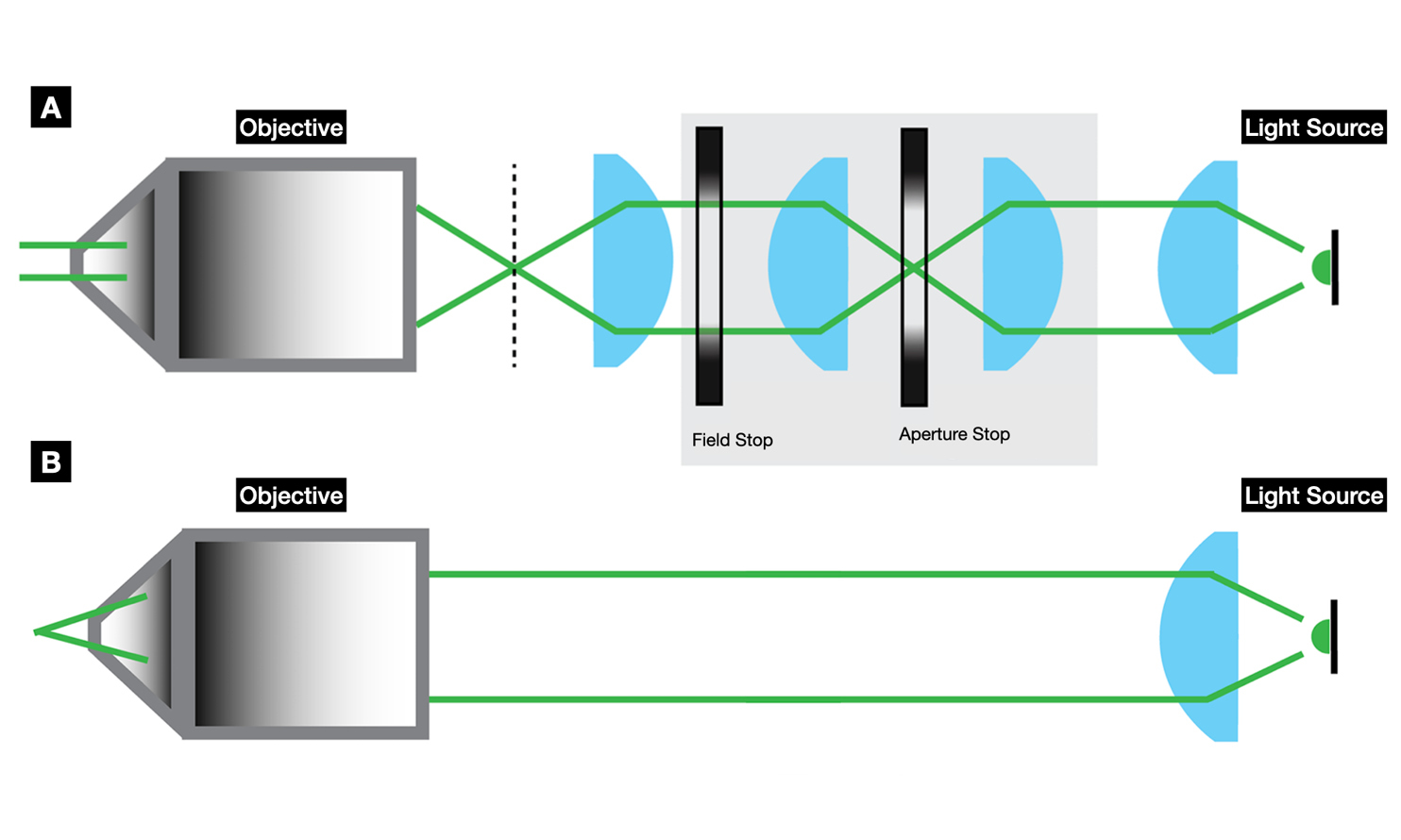 White Paper: Spatial Light Output Characteristics of Solid-State Light ...