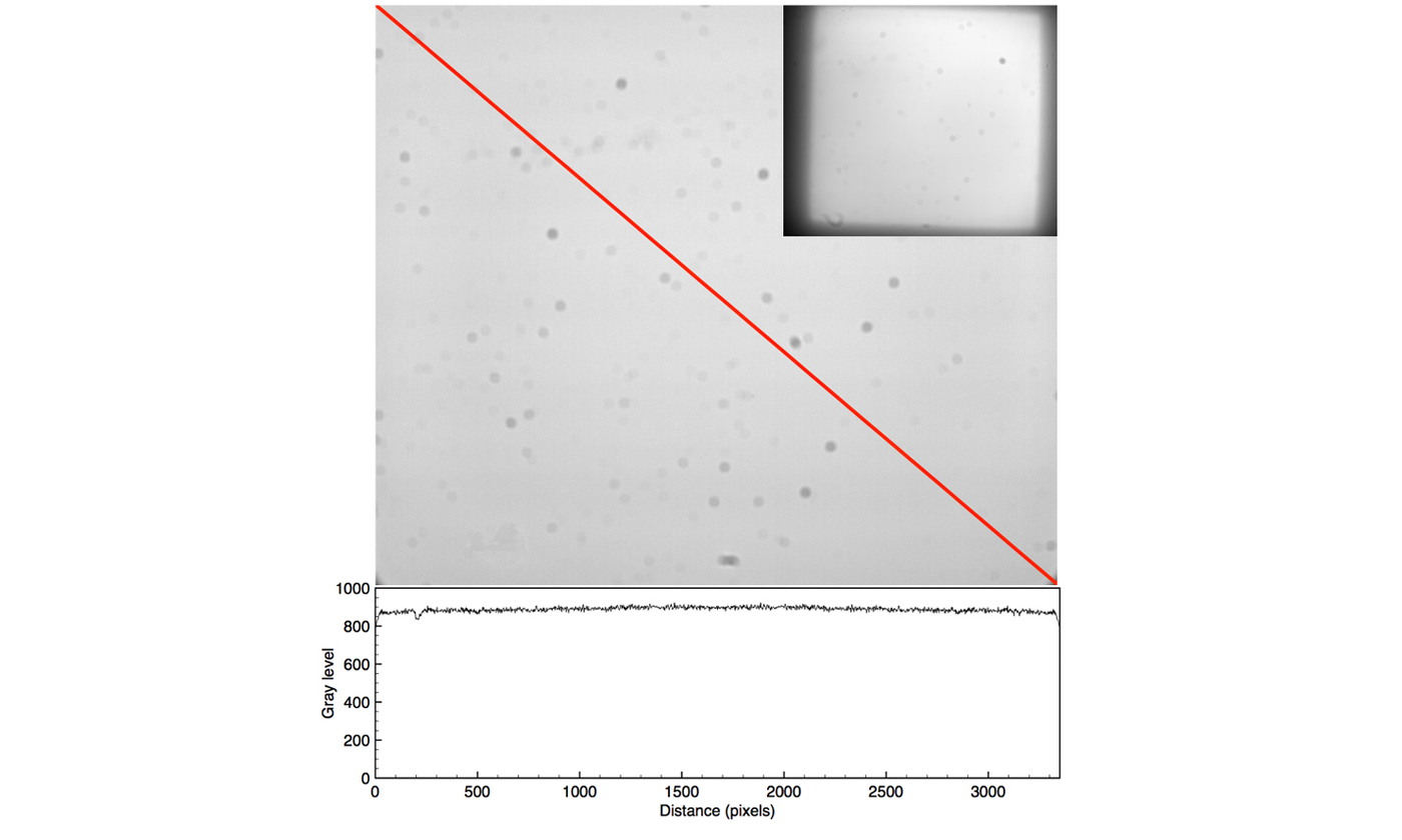White Paper: Spatial Light Output Characteristics of Solid-State Light ...