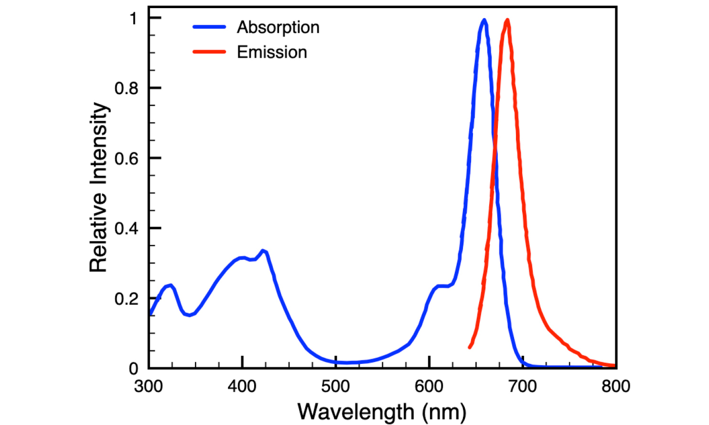 Bursting with Benefits: Optophysiology with BeRST Voltage Sensitive Dye