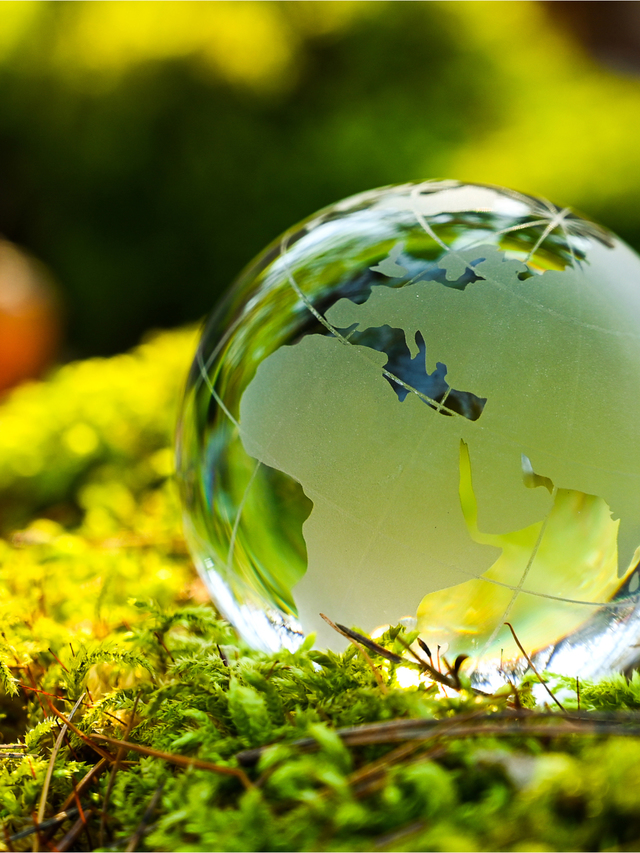 Lumencor Global Distributors | Microscope Light Sources