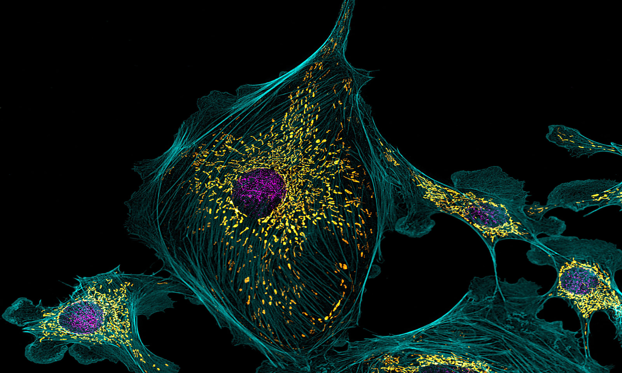 Lumencor Applications | Illuminators for Life Sciences, Clinical ...