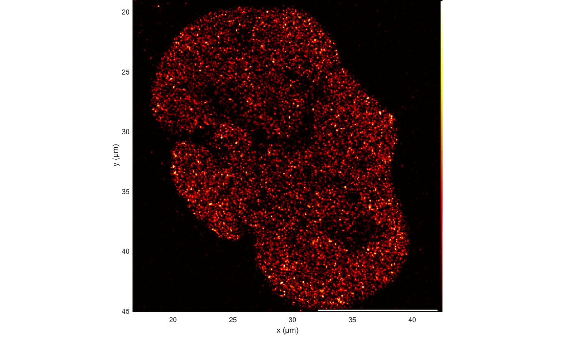 Light Microscopy | Microscope Light Sources from Lumencor