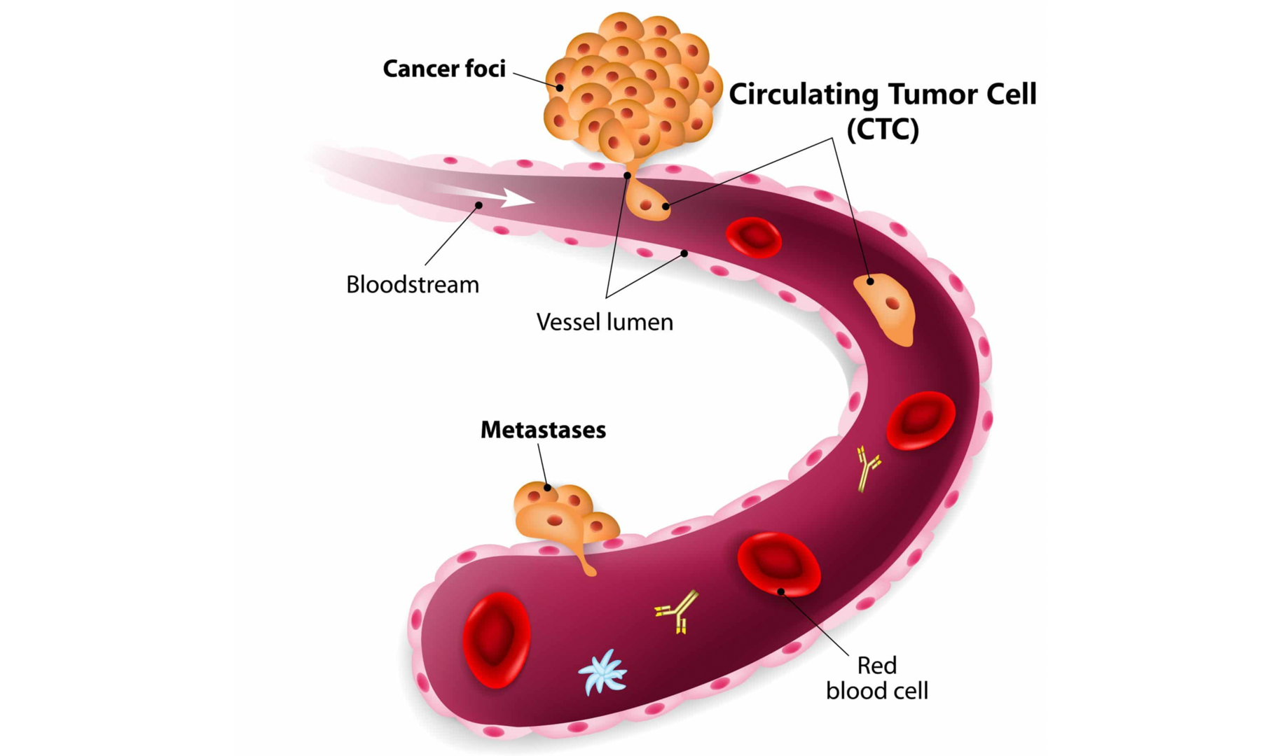 Fluorescence Light Sources for Diagnostic Testing | Lumencor