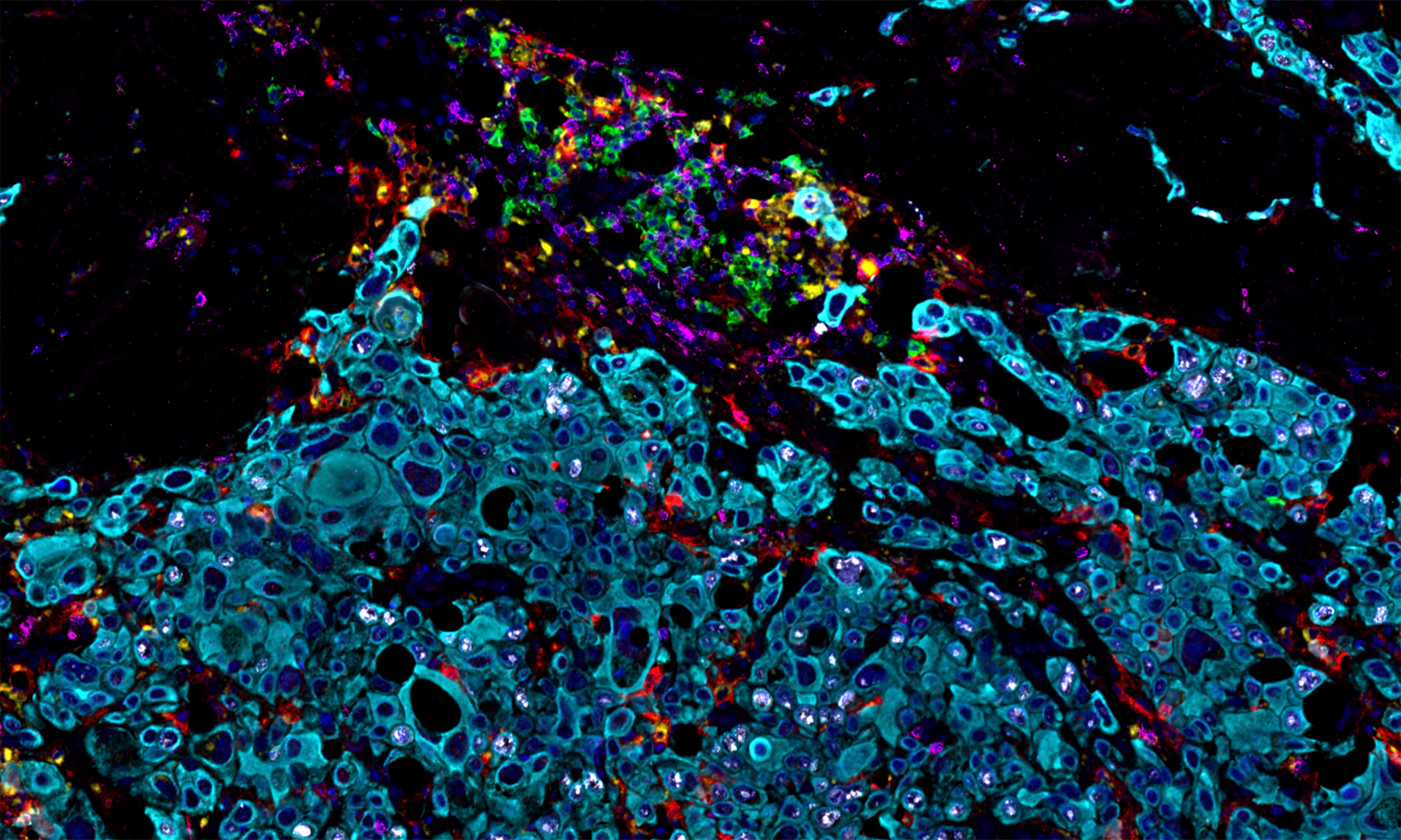 Characteristics of Light Sources for Optogenetic Stimulation