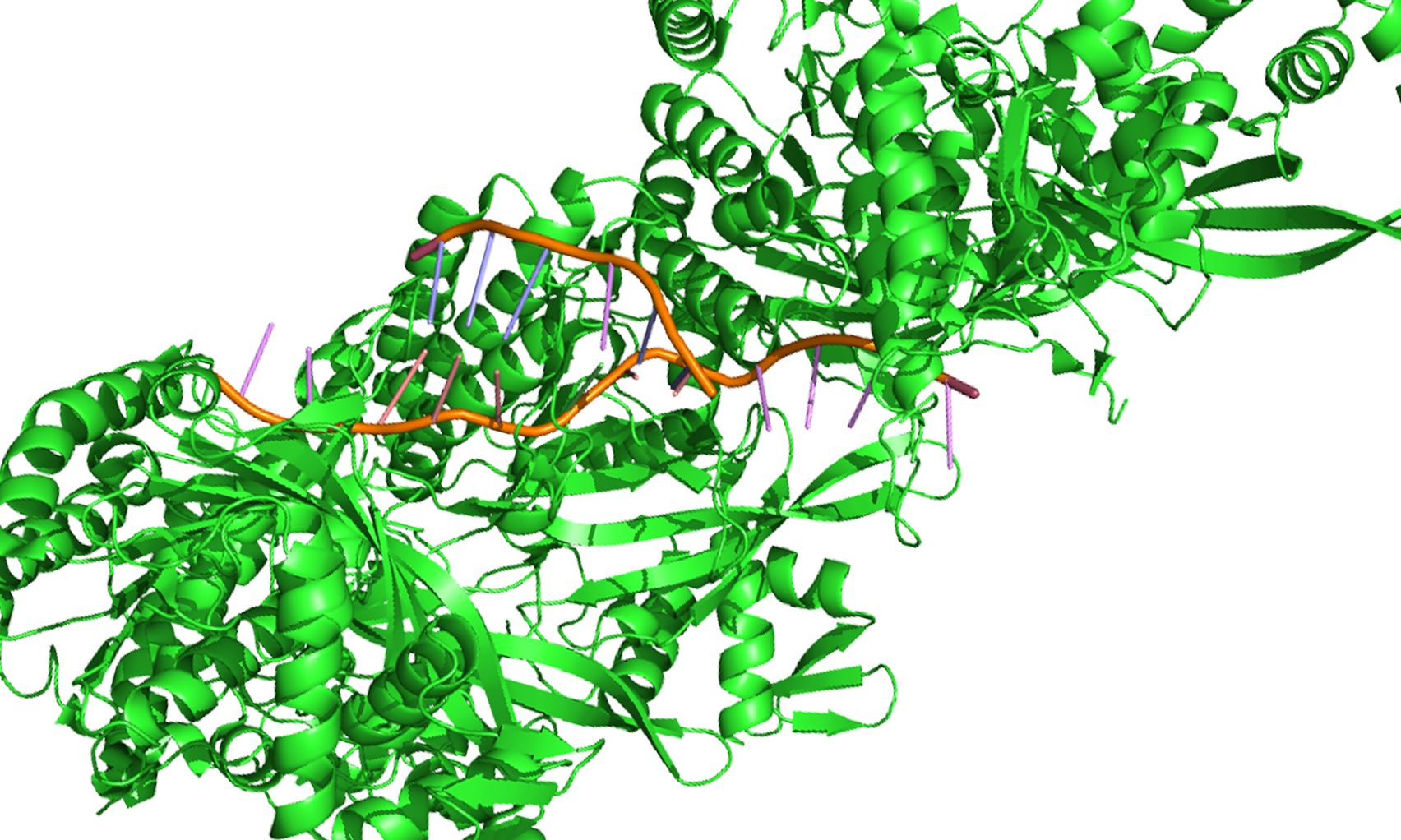 Visualizing DNA Repair via Multicolor Fluorescence Microscopy | Lumencor