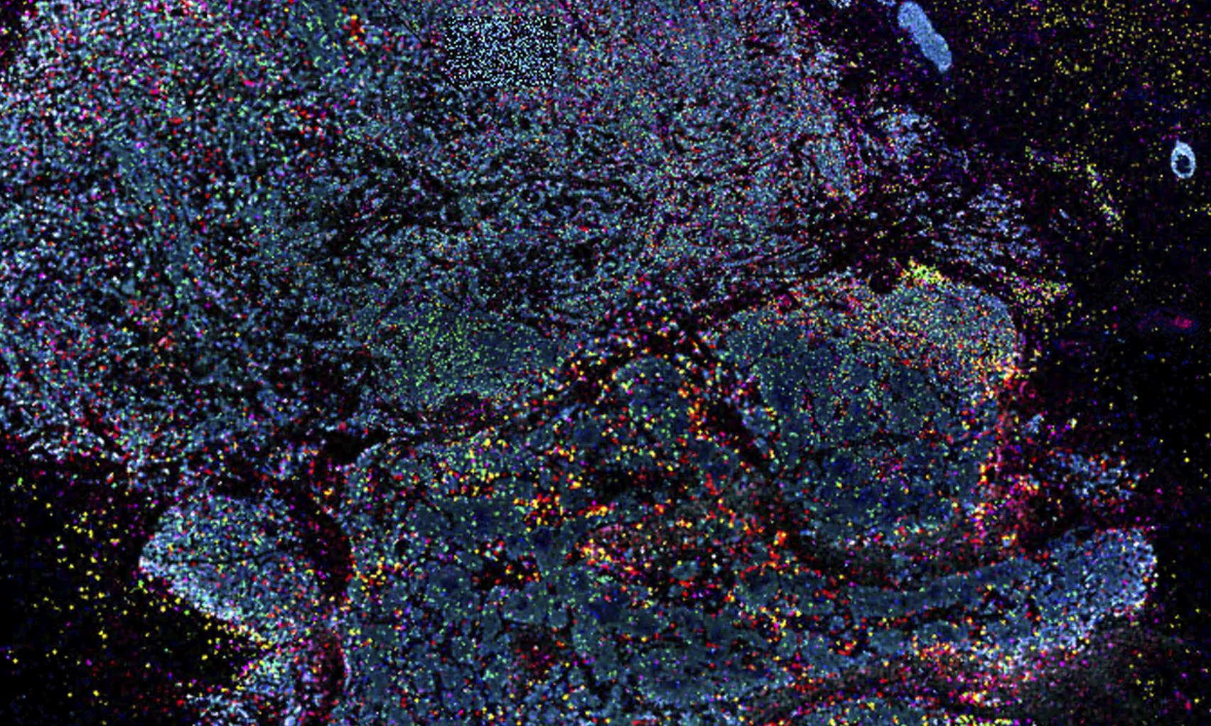 Pulsed Light Source for Optogenetics: SPECTRA X Light Engine | Lumencor
