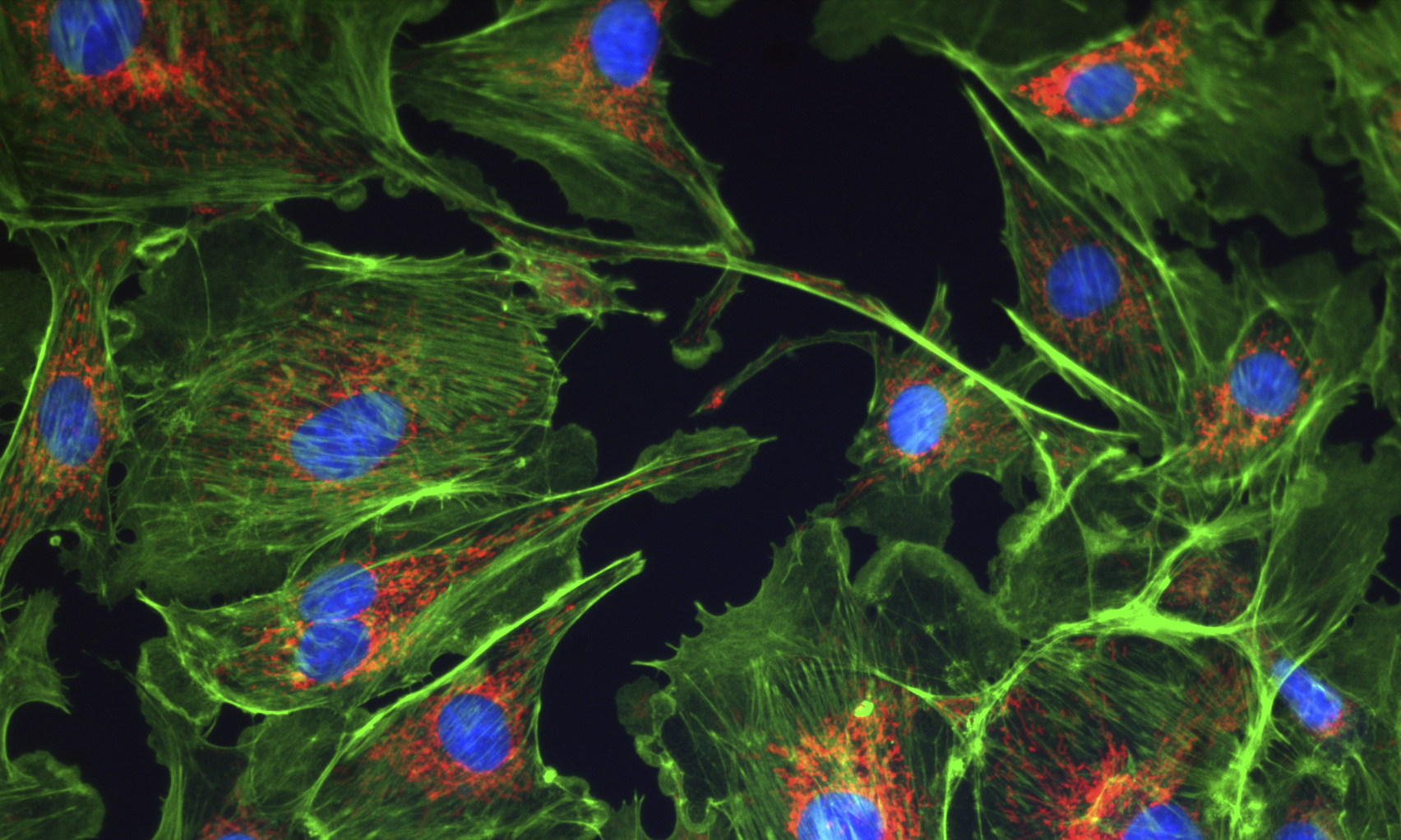 Best Practices During COVID-19 | Lumencor Light Engines | Lumencor