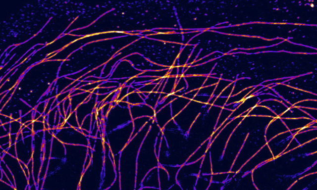 Recommended Operation of CELESTA, SPECTRA & ZIVA Light Engines | Lumencor