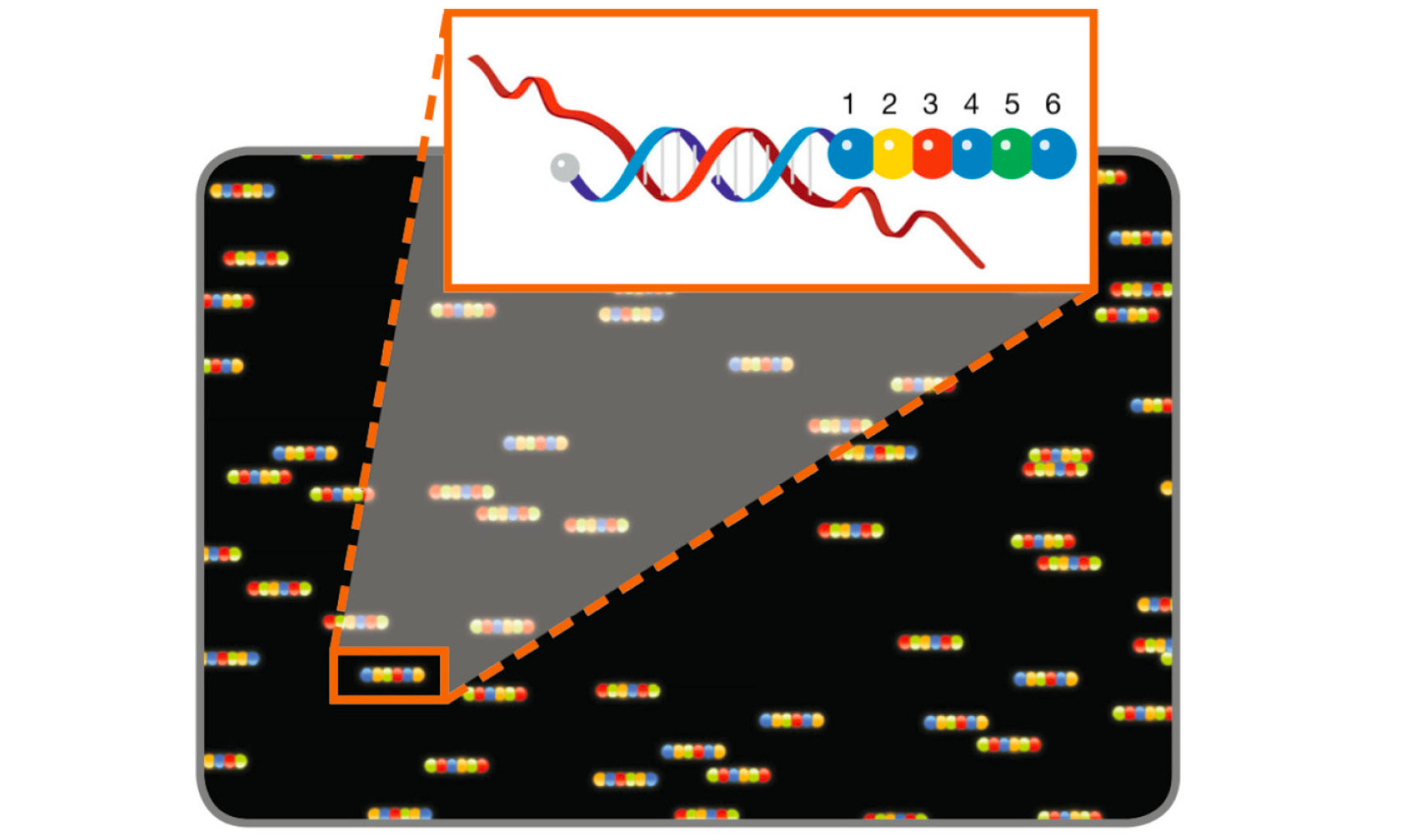 White Paper: Solid-State Illumination for Multiplexed Fluorescence ...