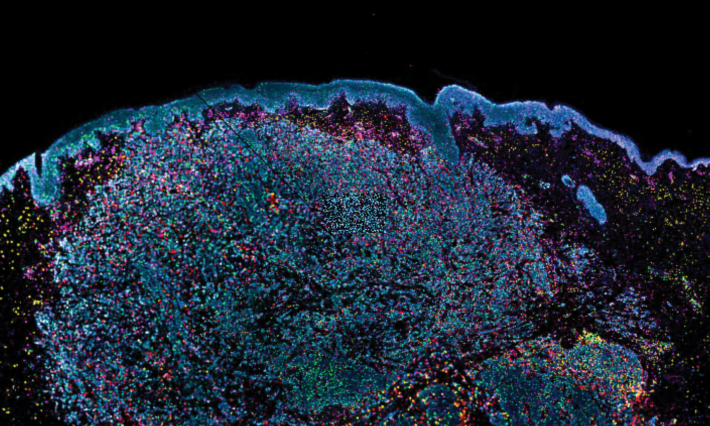 Lumencor Resources | Solid-State Illumination for Microscopy & More