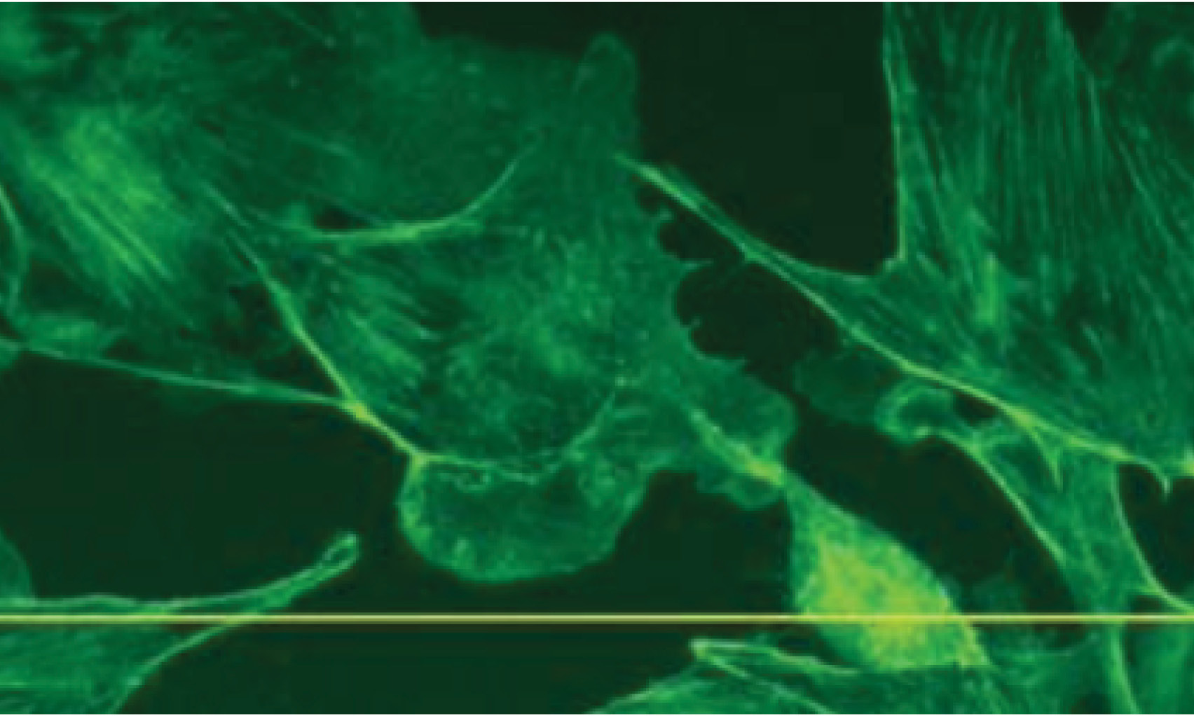 Lumencor Resources Solid State Illumination For Microscopy And More
