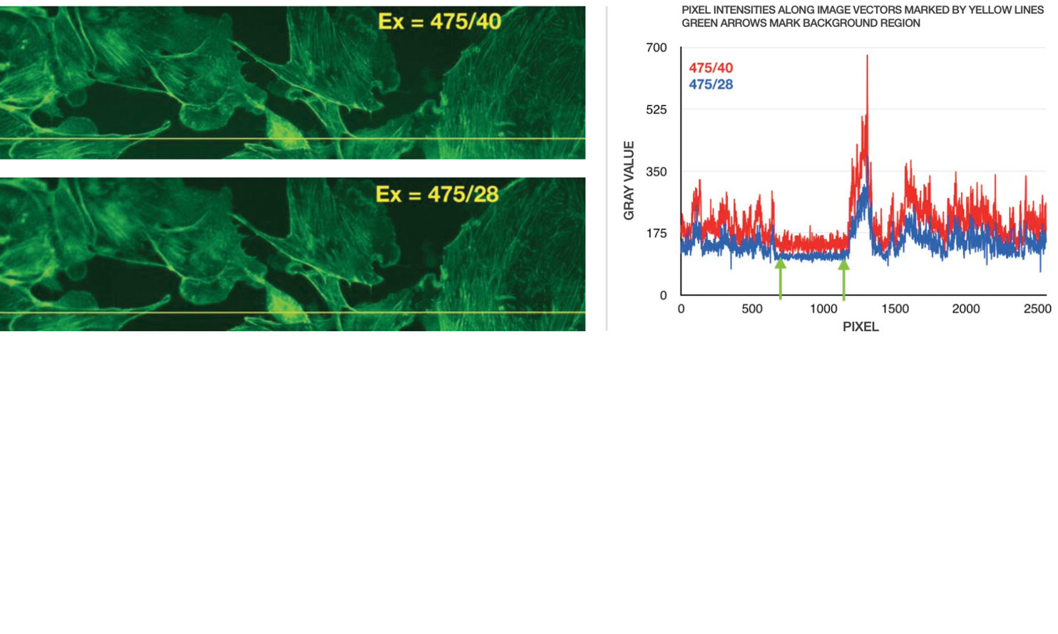 More is not always better" to "More is Not Always Better, Minimizing ...