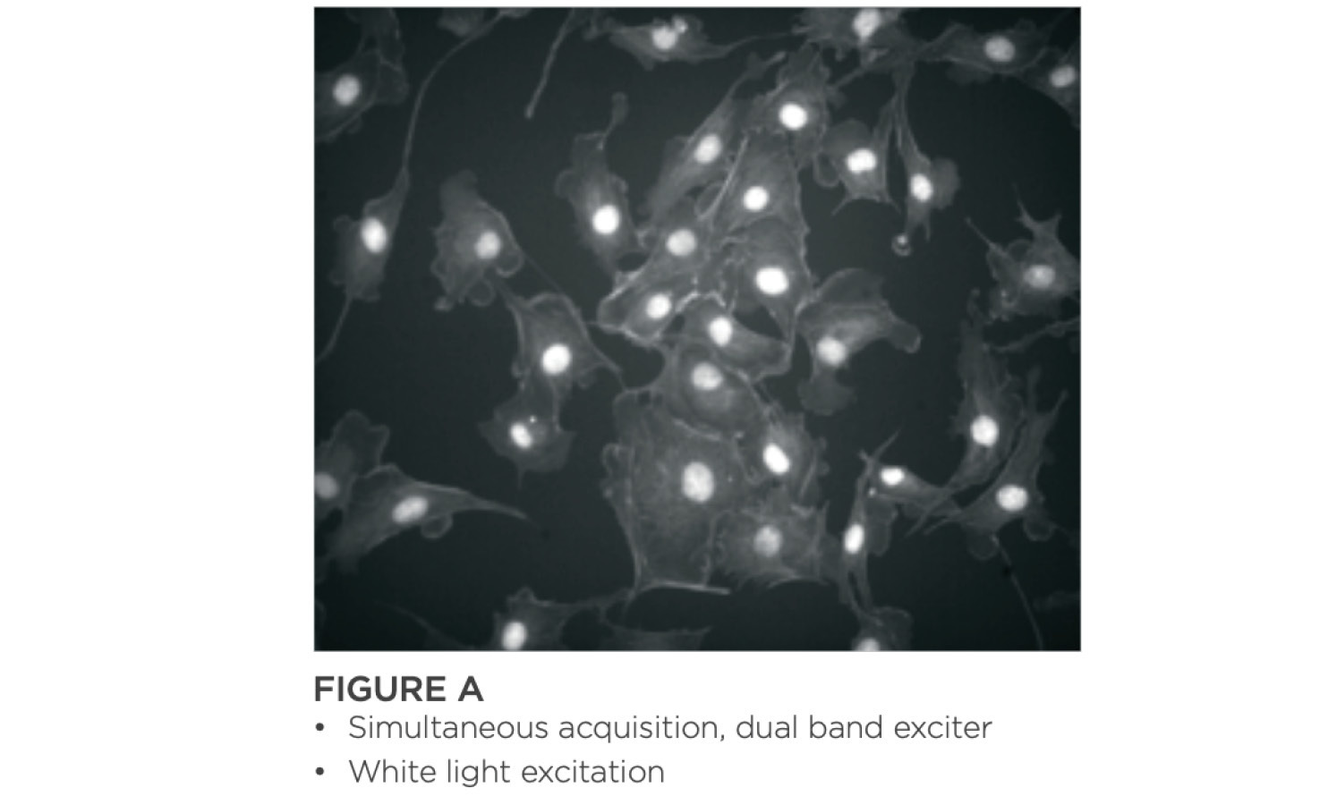 Light Engine Color Channel Selection Facilitates Multicolor ...