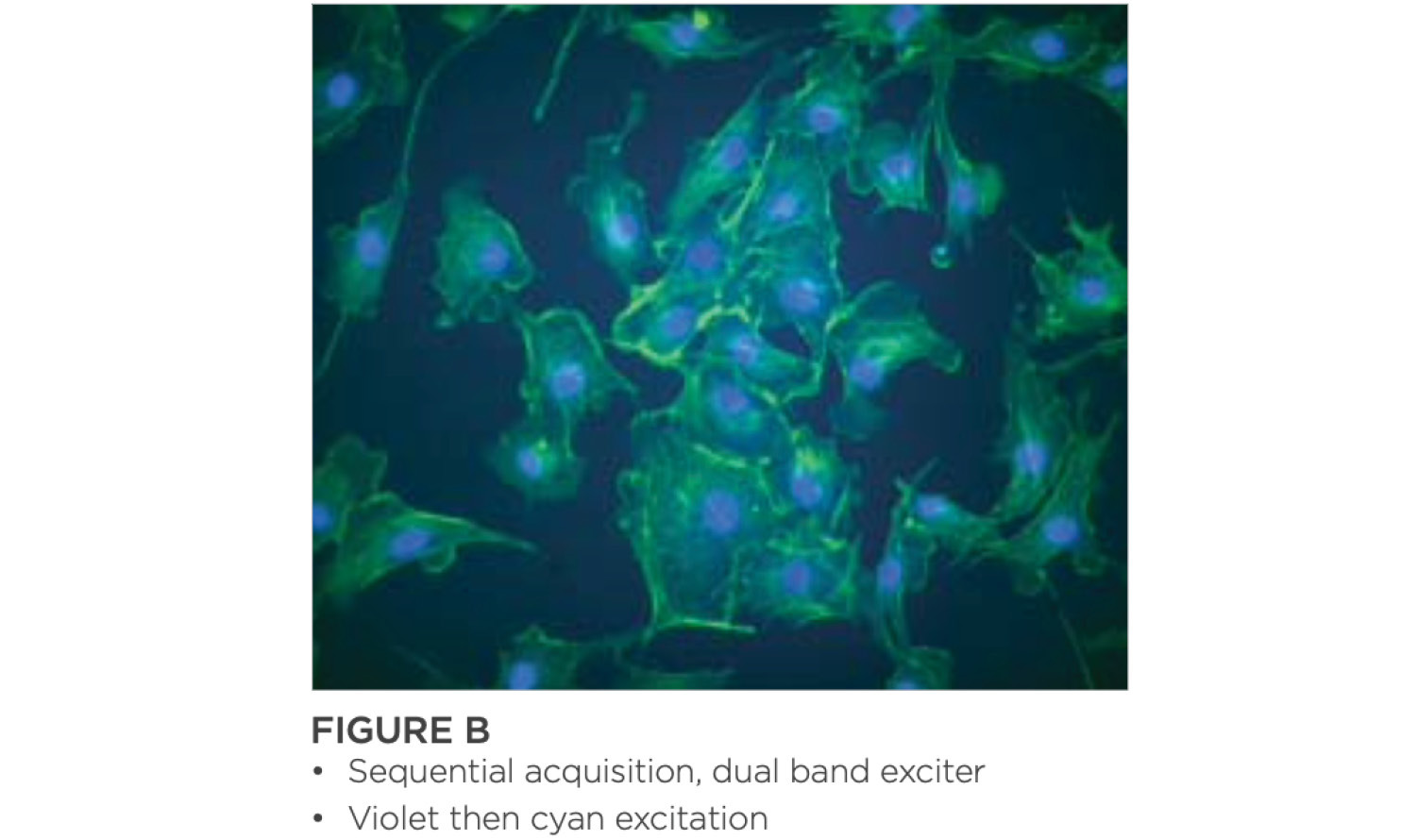 Light Engine Color Channel Selection Facilitates Multicolor ...