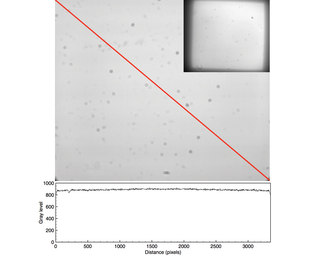 White Paper: Spectral, Spatial and Temporal Optimization of Solid-State Light Engine Output
