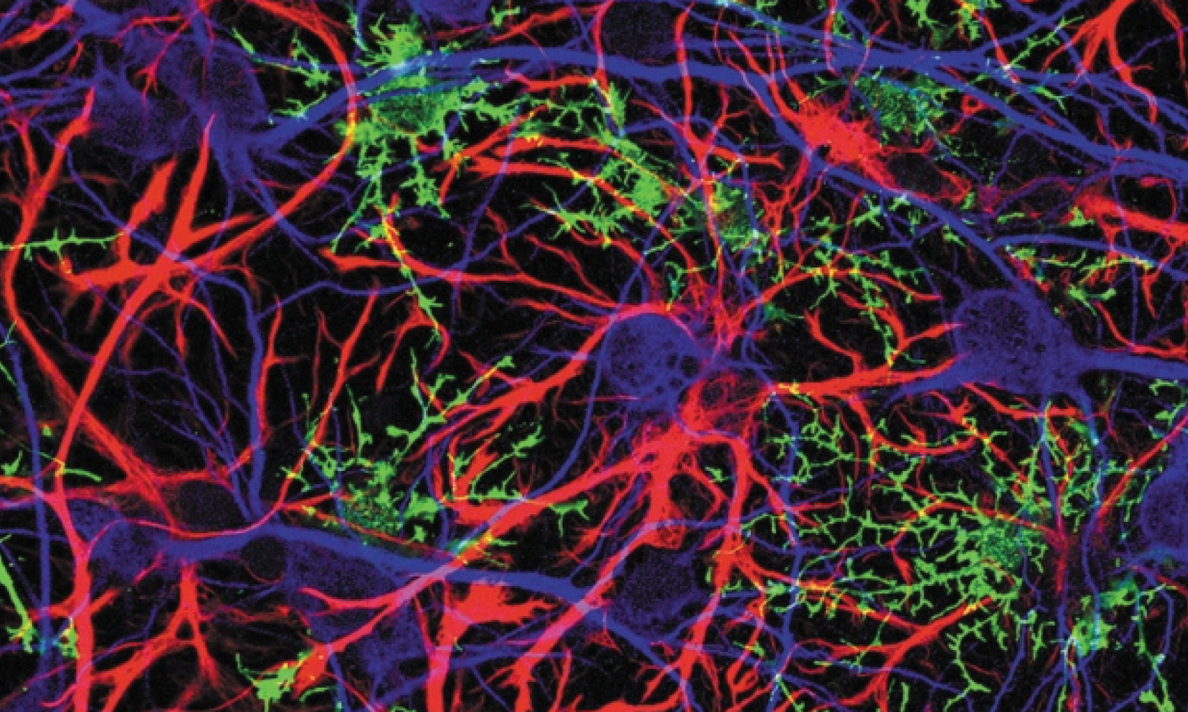 Case Study: Solid-State Illumination for All-Optical Electrophysiology