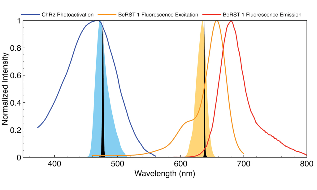 Case Study: Solid-State Illumination for All-Optical Electrophysiology